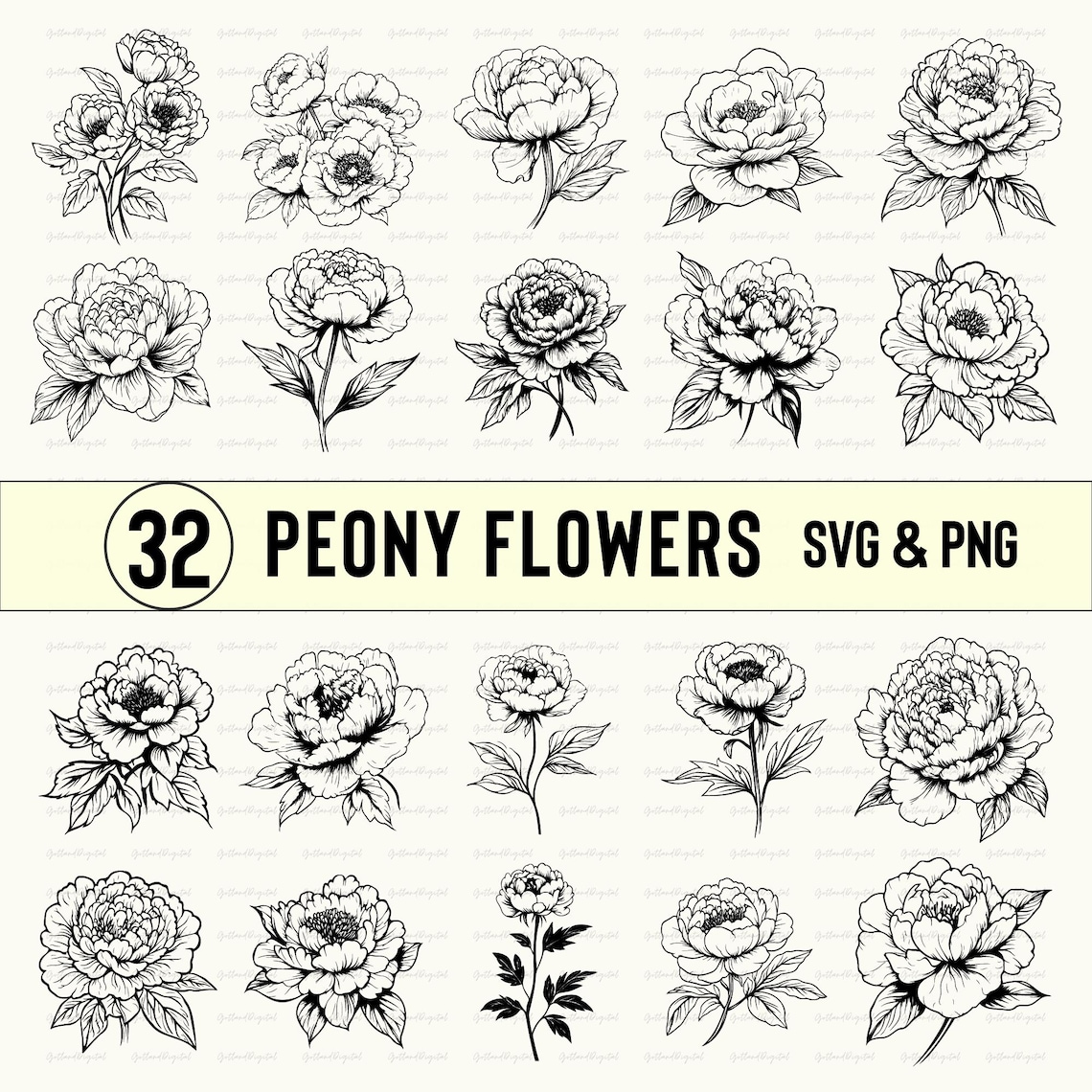 Peony Flower SVG PNG Bundle, Peony Flower Clipart, Peony Silhouette ...