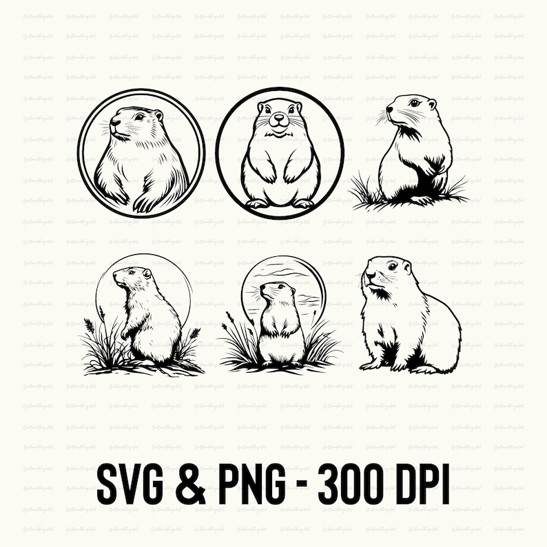 Groundhog SVG PNG Clipart: Silhouette Vector Cut Files - Etsy
