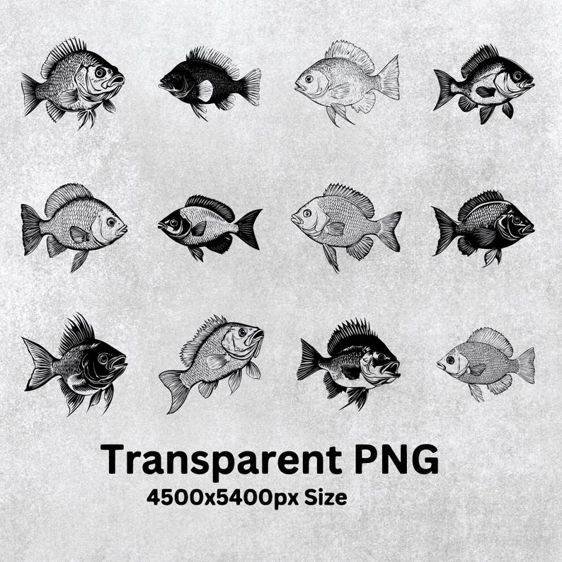 Bluegill SVG Bundle: Fish Silhouette Clipart (PNG, Vector) - Etsy