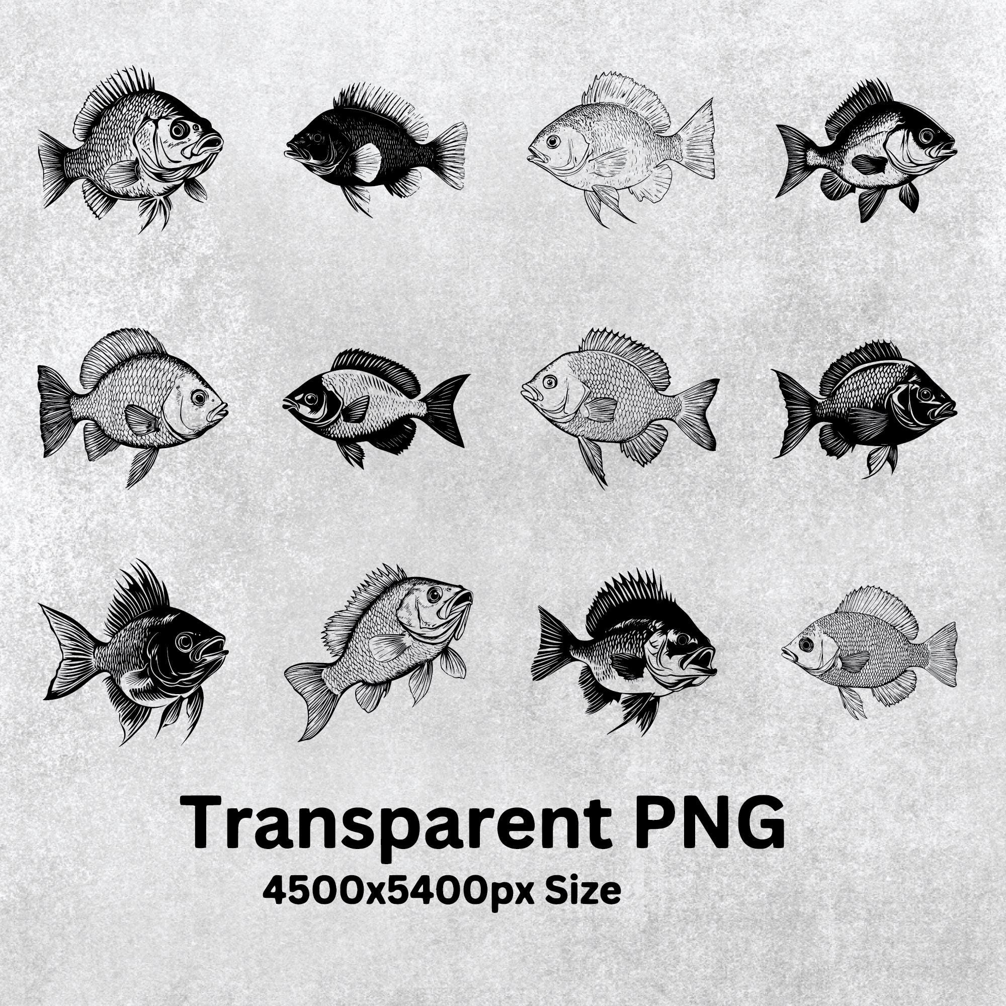 Bluegill SVG Bundle: Fish Silhouette Clipart (PNG, Vector) - Etsy
