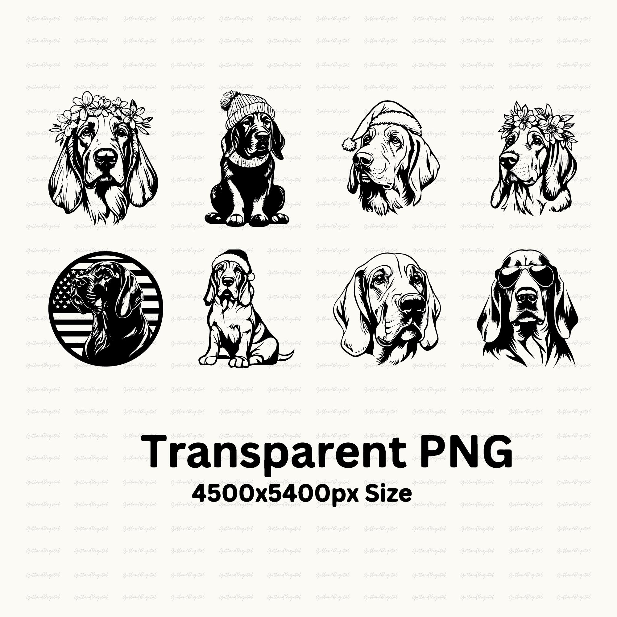 Bloodhound Svg Bundle, Bloodhound Silhouette, Bloodhound Clipart ...