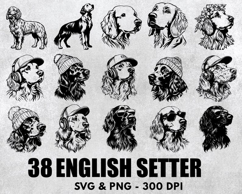 English Setter Svg Bundle, English Setter Silhouette, English Setter ...