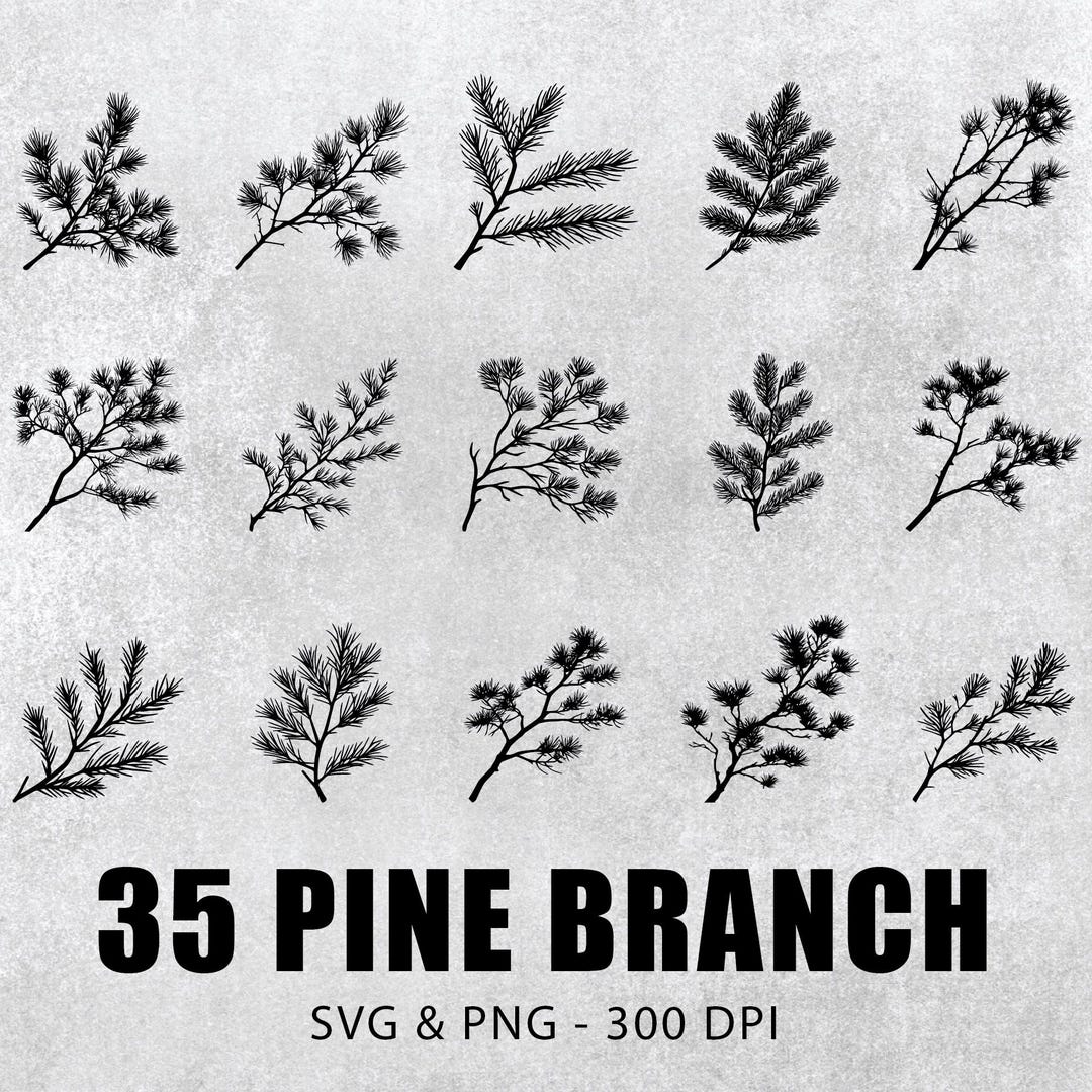 Pine Branch Svg Bundle, Pine Branch Silhouette Set, Pine Branch Clipart, Pine Branch Decal, Pine ...