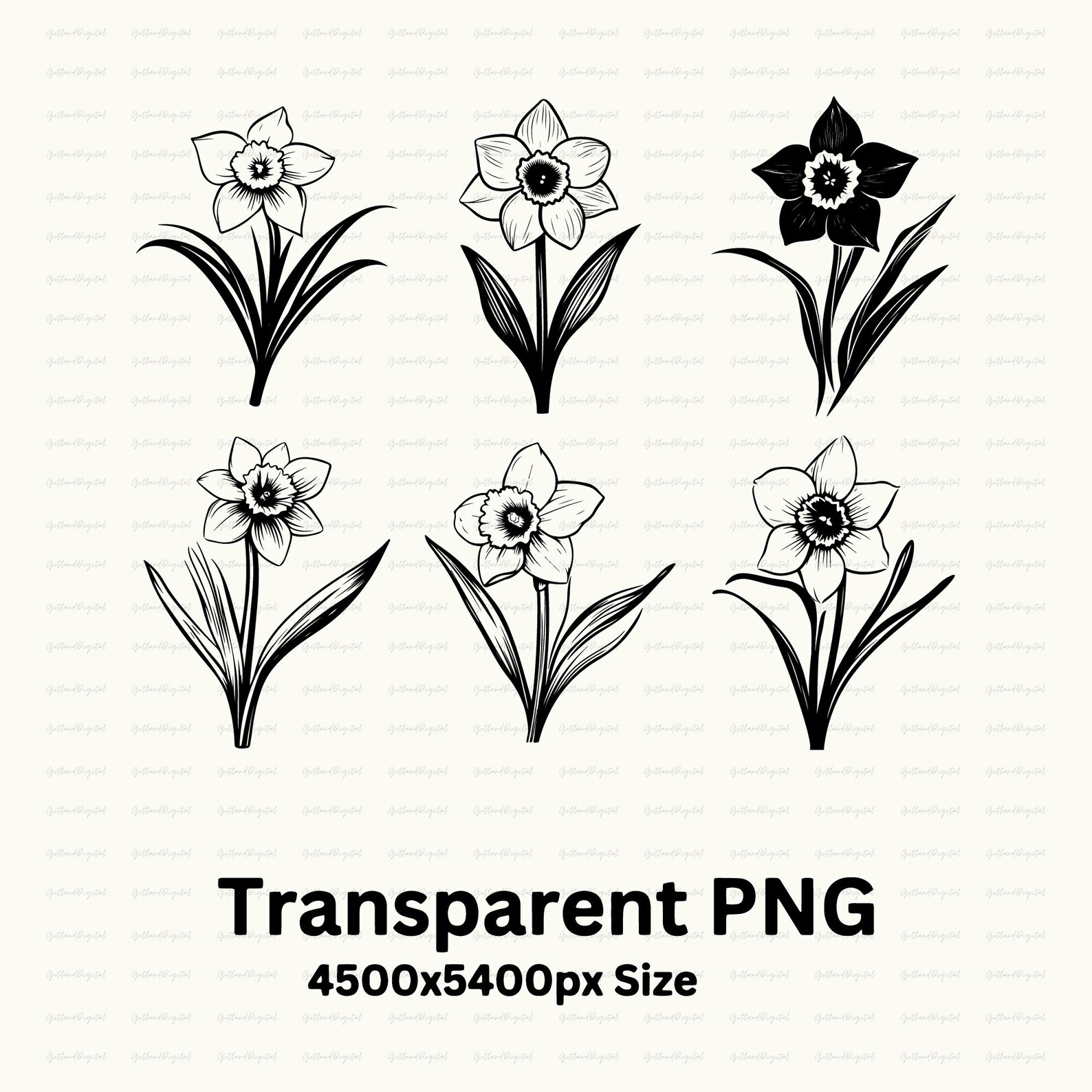Daffodil SVG PNG Bundle: Floral Clipart, Silhouette Vector (digital ...
