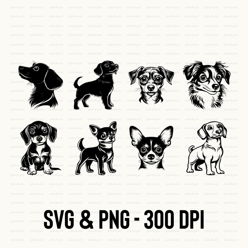 Chiweenie Dog SVG Bundle: Silhouette Clipart Vector (PNG, Cricut Files ...