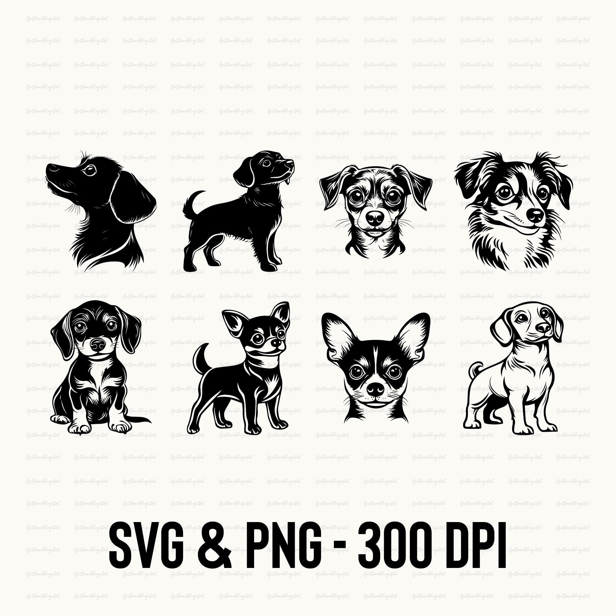 Chiweenie Dog Svg Bundle, Chiweenie Dog Silhouette, Chiweenie Dog ...