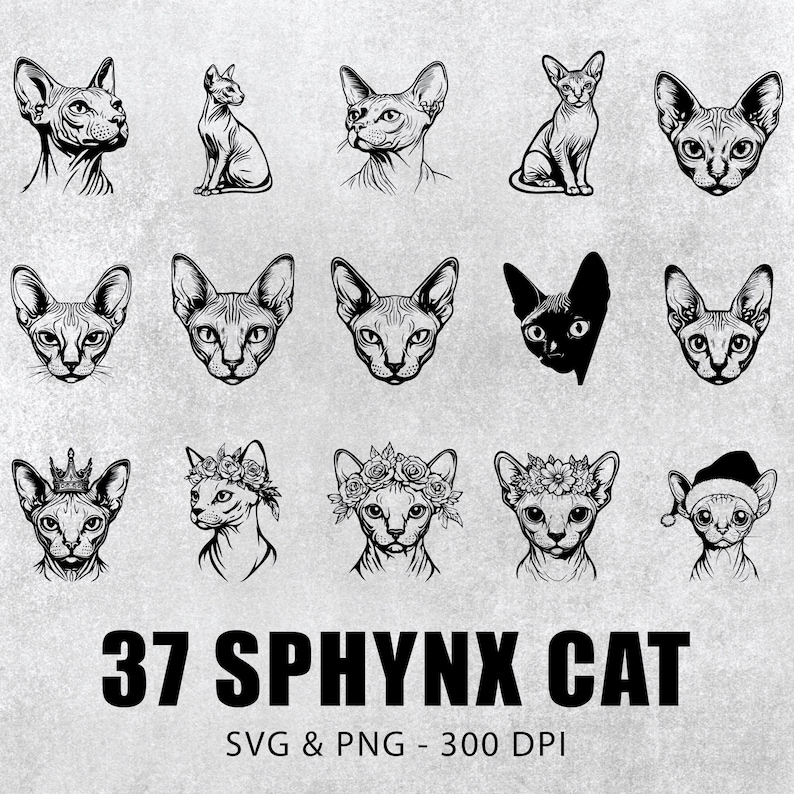 Sphynx Cat Svg Png Bundle, Sphynx Cat Vector Set, Sphynx Cat Clipart ...