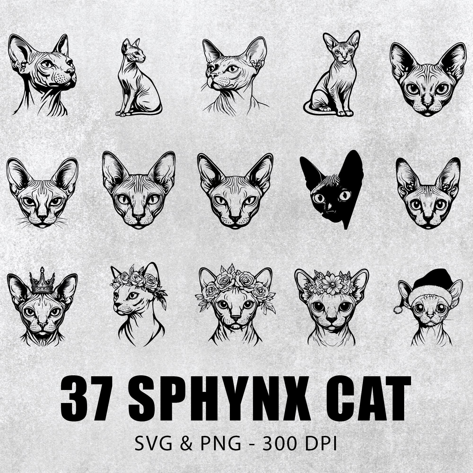 Sphynx Cat SVG PNG Bundle: Vector Clipart Silhouette (300 DPI) - Etsy