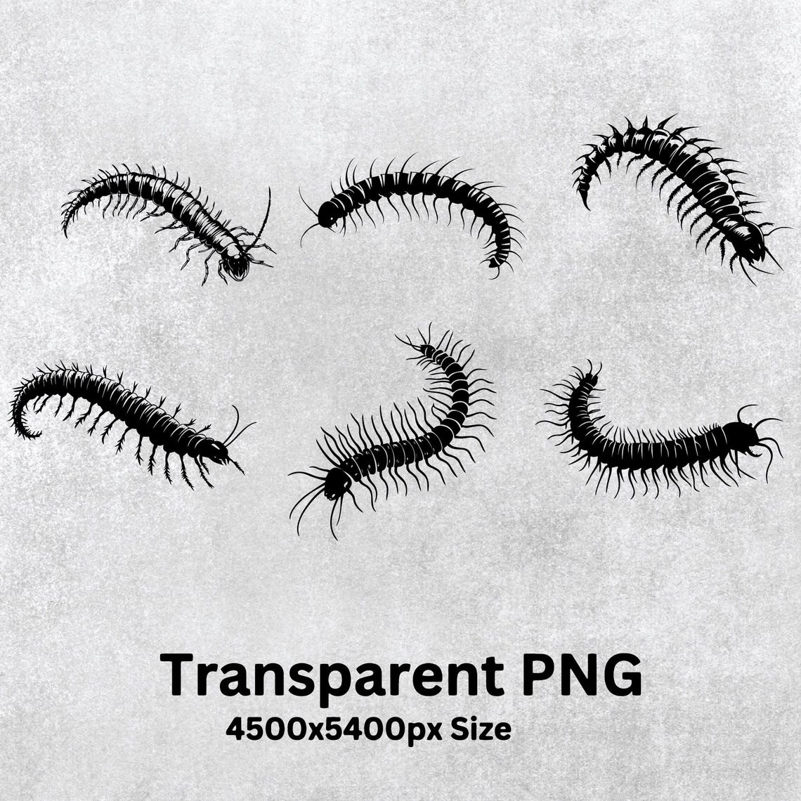 Centipedes Svg Png Bundle, Centipedes Clipart, Centipedes Silhouette ...