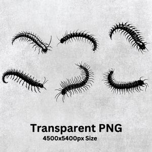 Centipedes Svg Png Bundle, Centipedes Clipart, Centipedes Silhouette ...