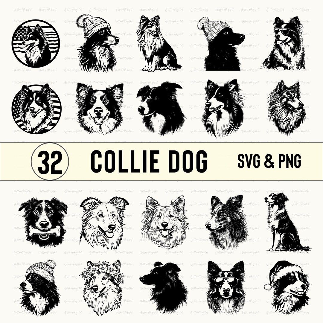 Collie Dog Svg Bundle, Collie Dog Silhouette, Collie Dog Clipart ...