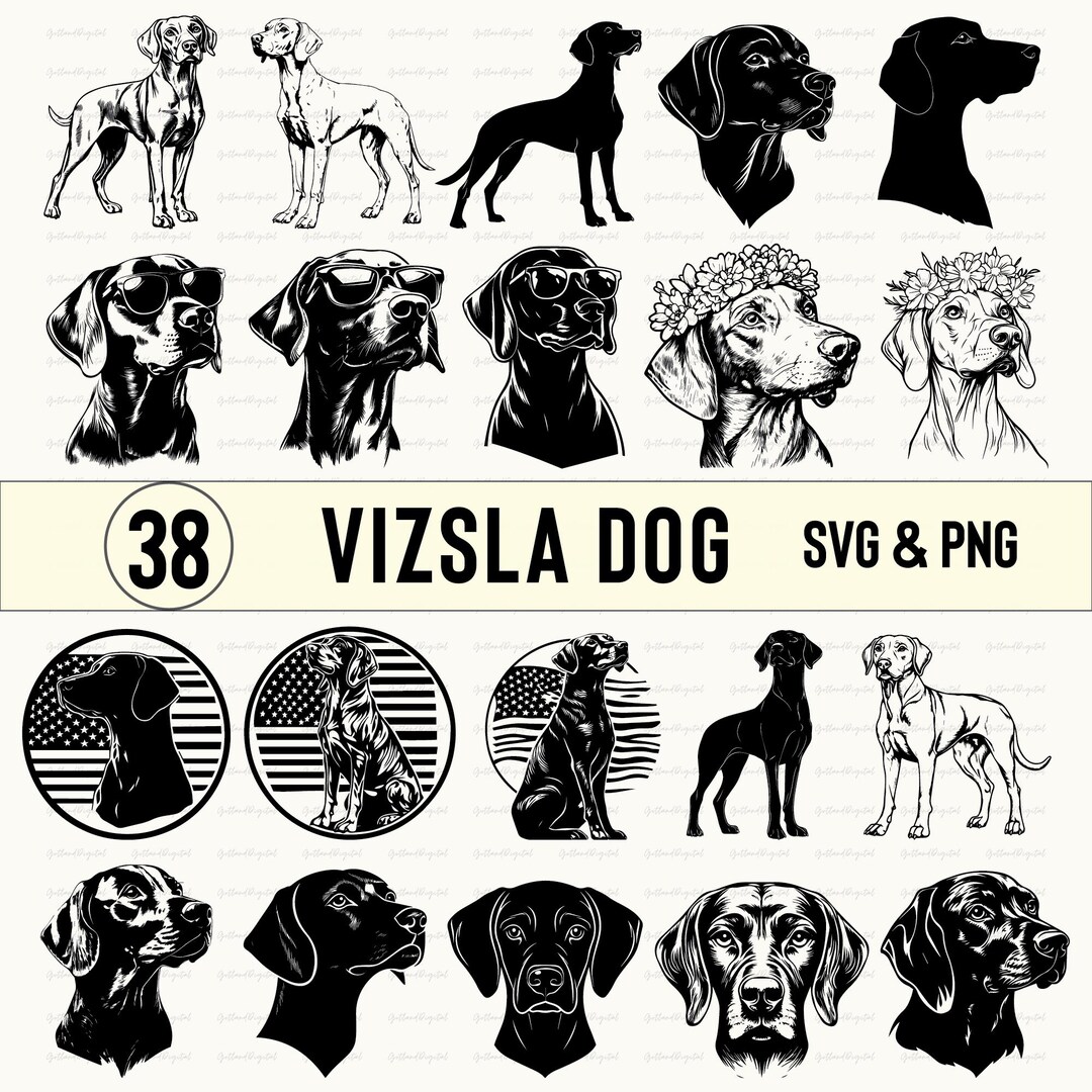 Vizsla Dog Svg Bundle, Vizsla Dog Silhouette, Vizsla Dog Clipart ...