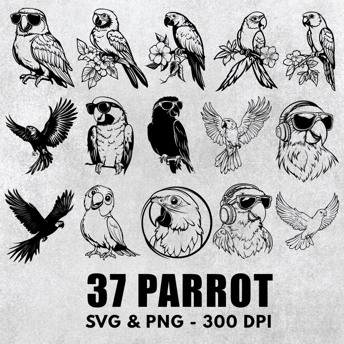 Parrot Silhouette SVG Bundle: Clipart, Decal, Icon (PNG, Cricut) - Etsy