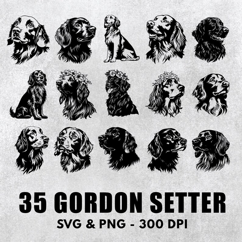Gordon Setter Svg Bundle, Gordon Setter Silhouette Set, Gordon Setter ...