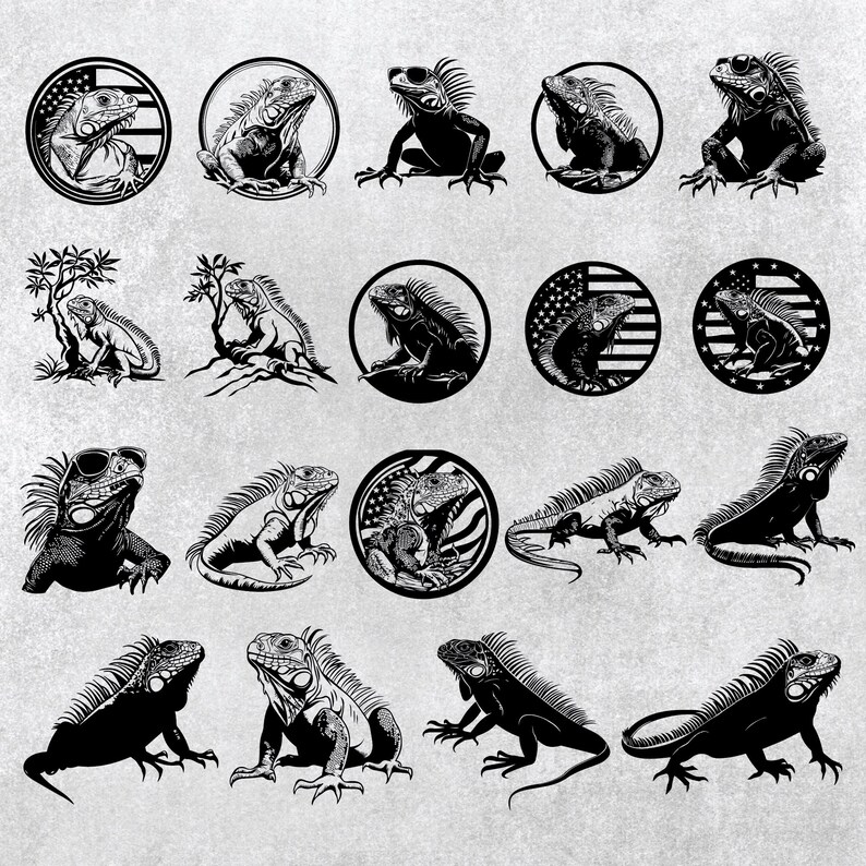 Iguana Silhouette SVG PNG Bundle: Reptile Clipart, Vector Graphics - Etsy