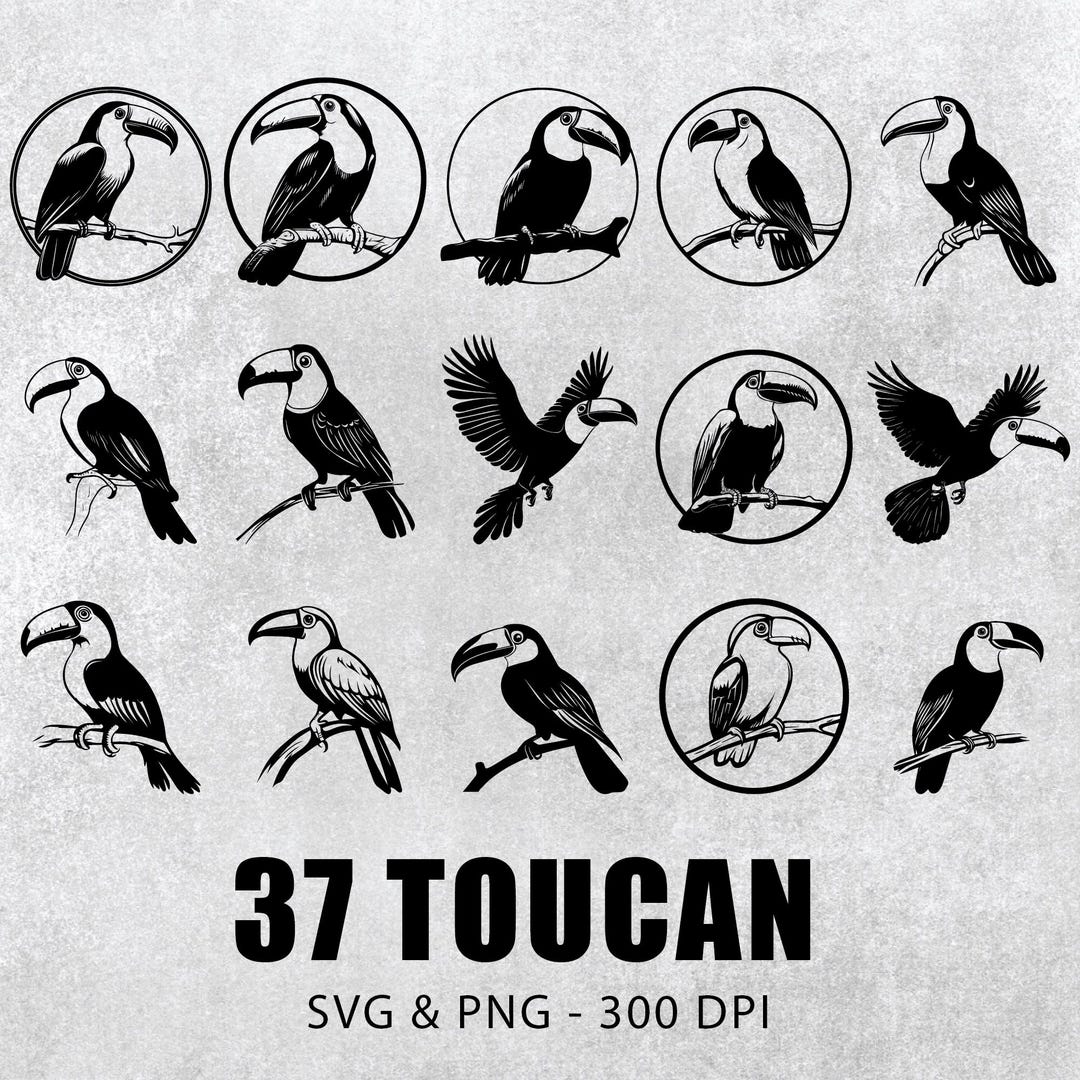 Toucan Svg Bundle, Toucan Silhouette Set, Toucan Clipart, Toucan Decal ...