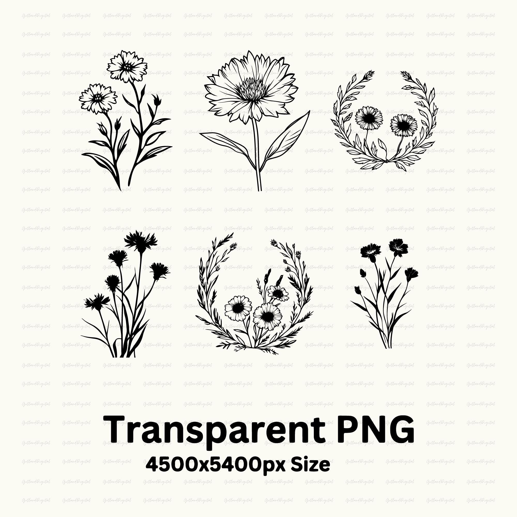 Cornflower SVG PNG: Floral Outline Clipart, Cricut Cut File - Etsy