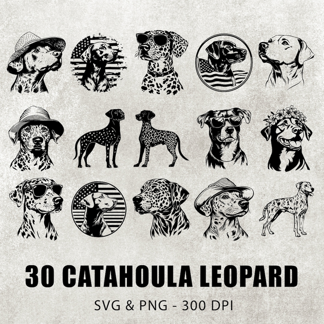Catahoula Leopard SVG Bundle - Clipart, Silhouettes & Decals for Cricut ...