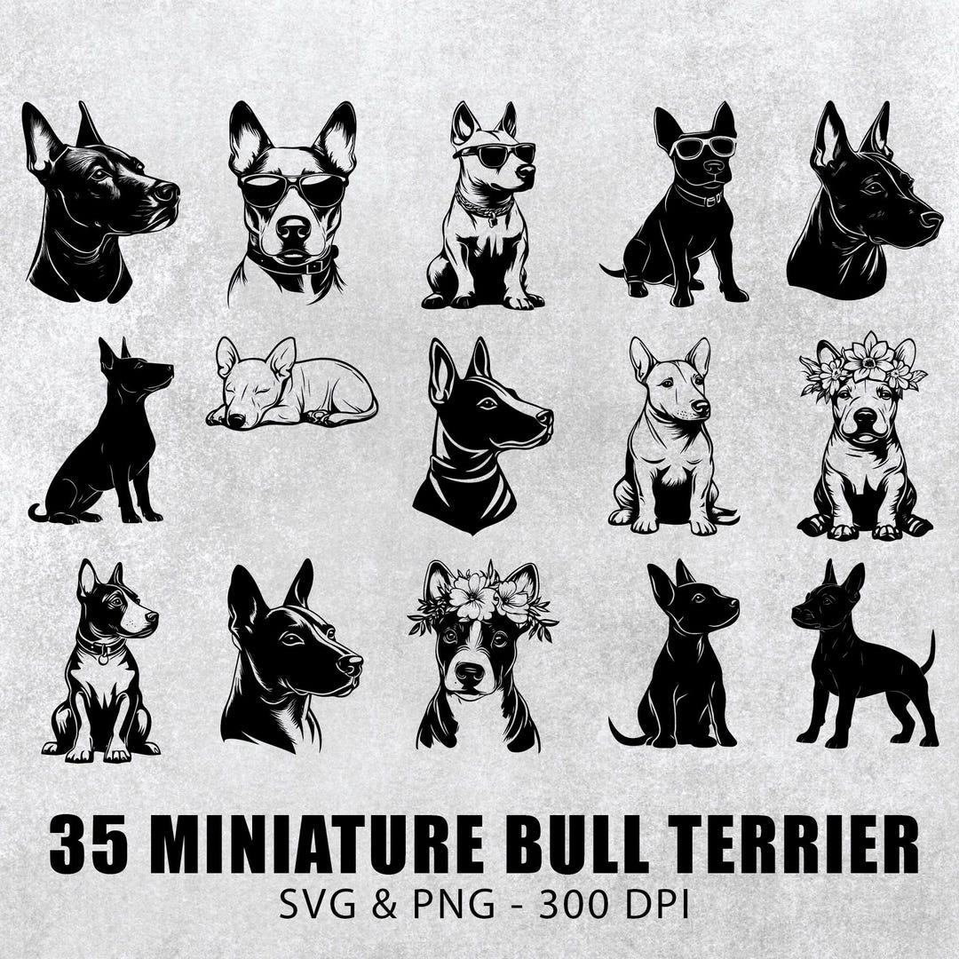 Miniature Bull Terrier Svg Bundle, Miniature Bull Terrier Silhouette ...