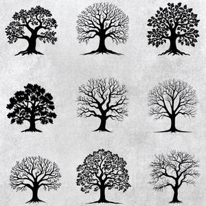 Oak Tree Silhouette SVG Bundle: Clipart, Decal, Logo (PNG, Cricut) - Etsy