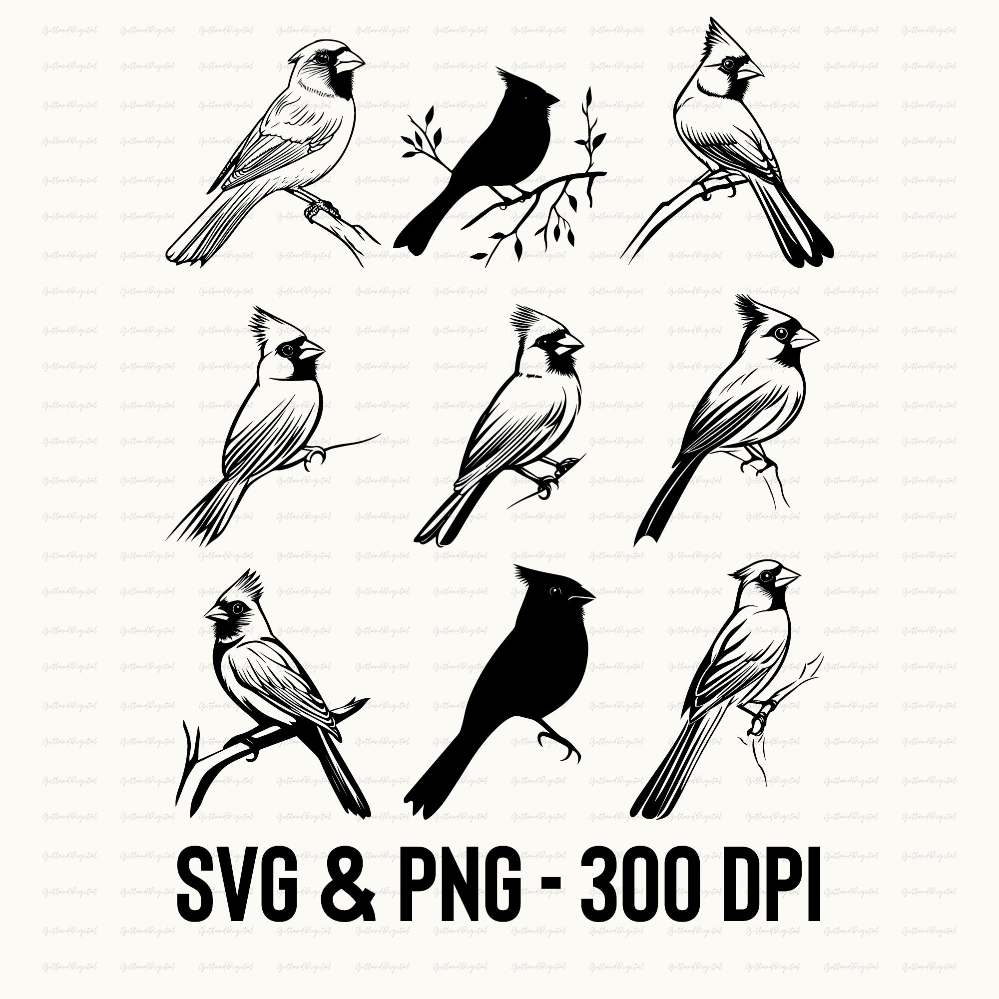 Cardinal Bird SVG Bundle: Silhouette Clipart Vector (PNG, Cricut Files ...