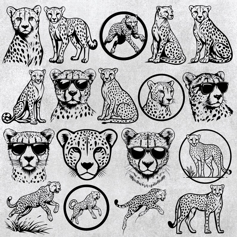 Cheetah Svg Png Bundle, Cheetah Clipart, Cheetah Silhouette, Vector Art ...