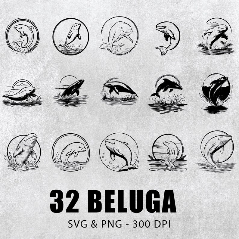Beluga Whale Clipart: SVG PNG Bundle, Vector Art Designs - Etsy