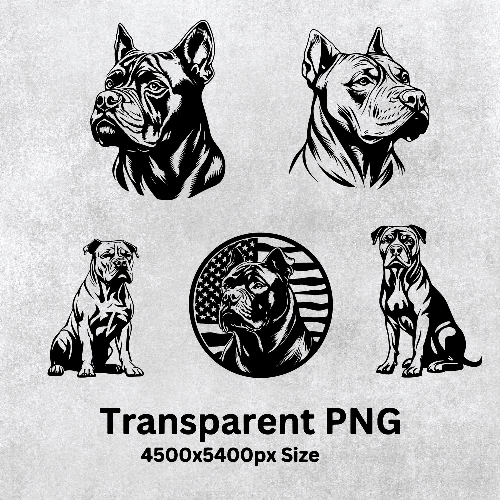 Cane Corso Svg Bundle, Cane Corso Vector Set, Cane Corso Clipart, Cane ...