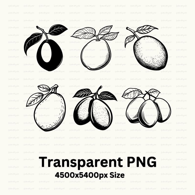 Mango SVG PNG Clipart: Outline Vector Cut File - Etsy