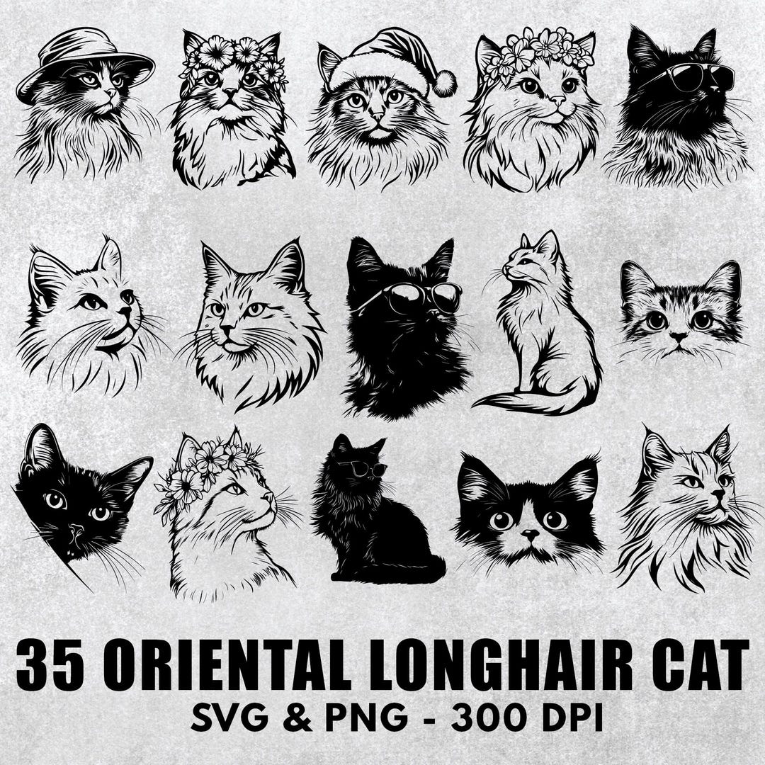 Oriental Longhair Cat SVG PNG Bundle: Silhouette Clipart, Cricut Cut ...