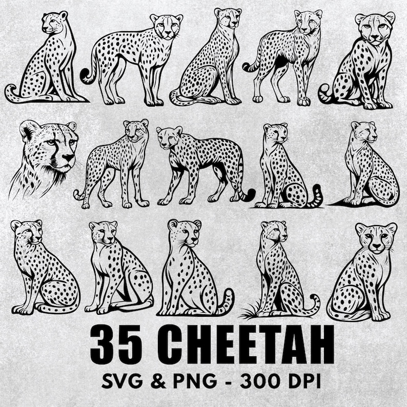 Cheetah Svg Png Bundle, Cheetah Clipart, Cheetah Silhouette, Vector Art ...