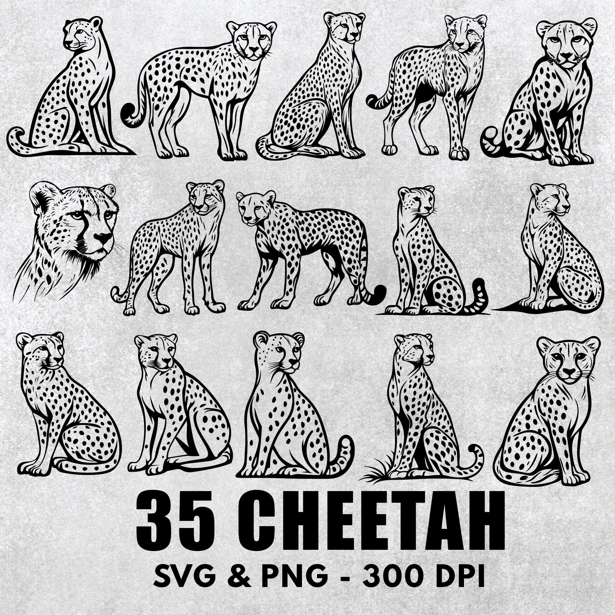 Cheetah Svg Png Bundle, Cheetah Clipart, Cheetah Silhouette, Vector Art ...
