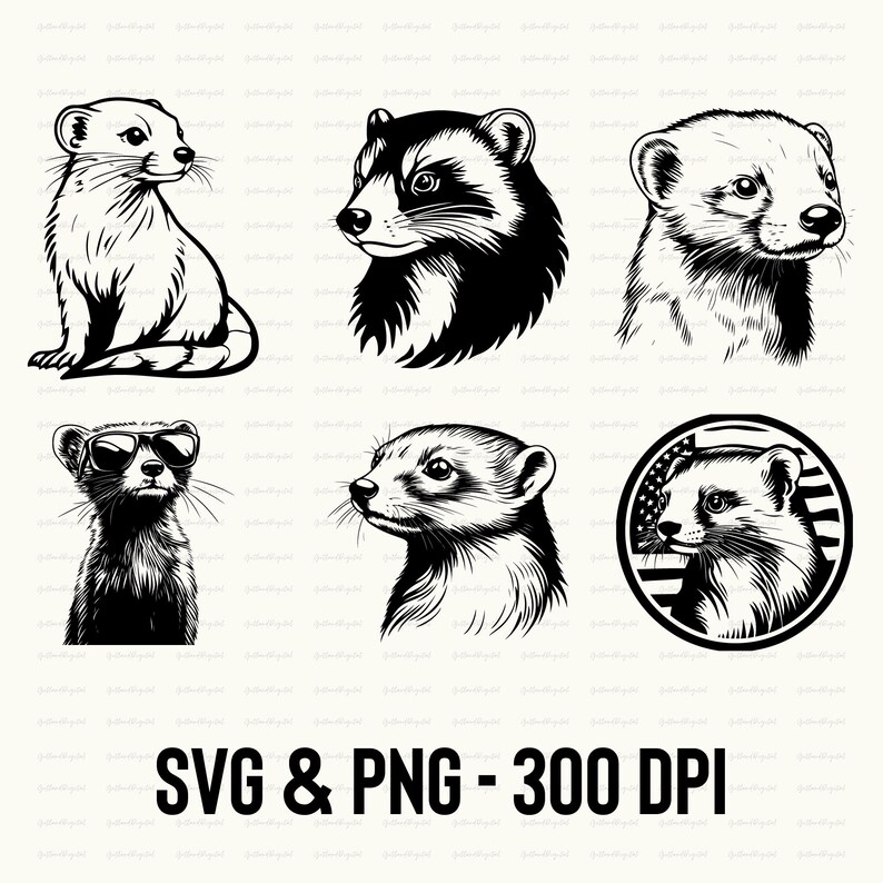 Ferret Clipart: Silhouette Vector Cut Files (SVG, PNG) - Etsy