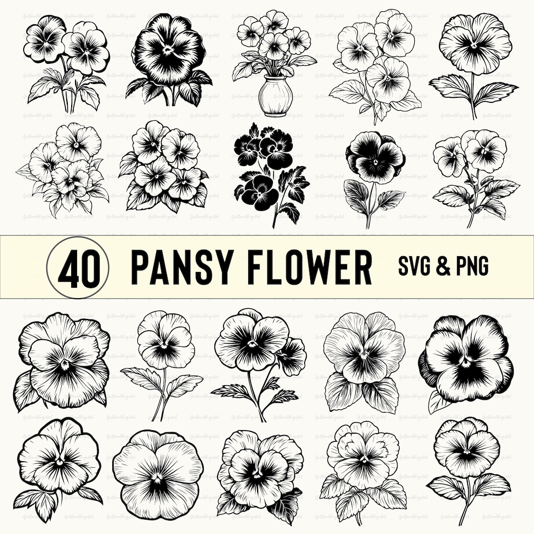Pansy Flower Svg Png, Pansy Flower Clipart, Pansy Flower Silhouette ...