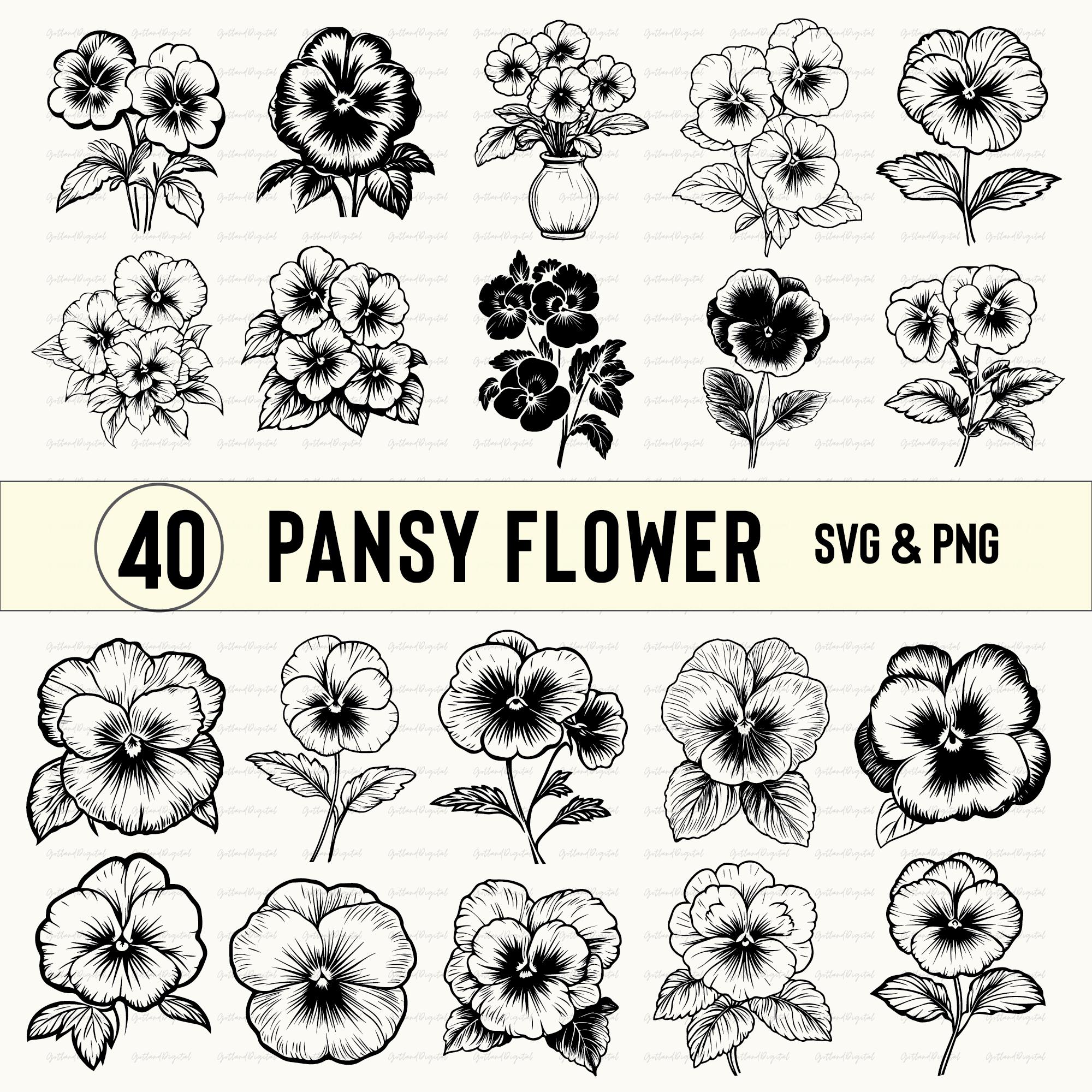 Pansy Flower SVG PNG Clipart: Floral Cut Files, Cricut, Decal Designs ...