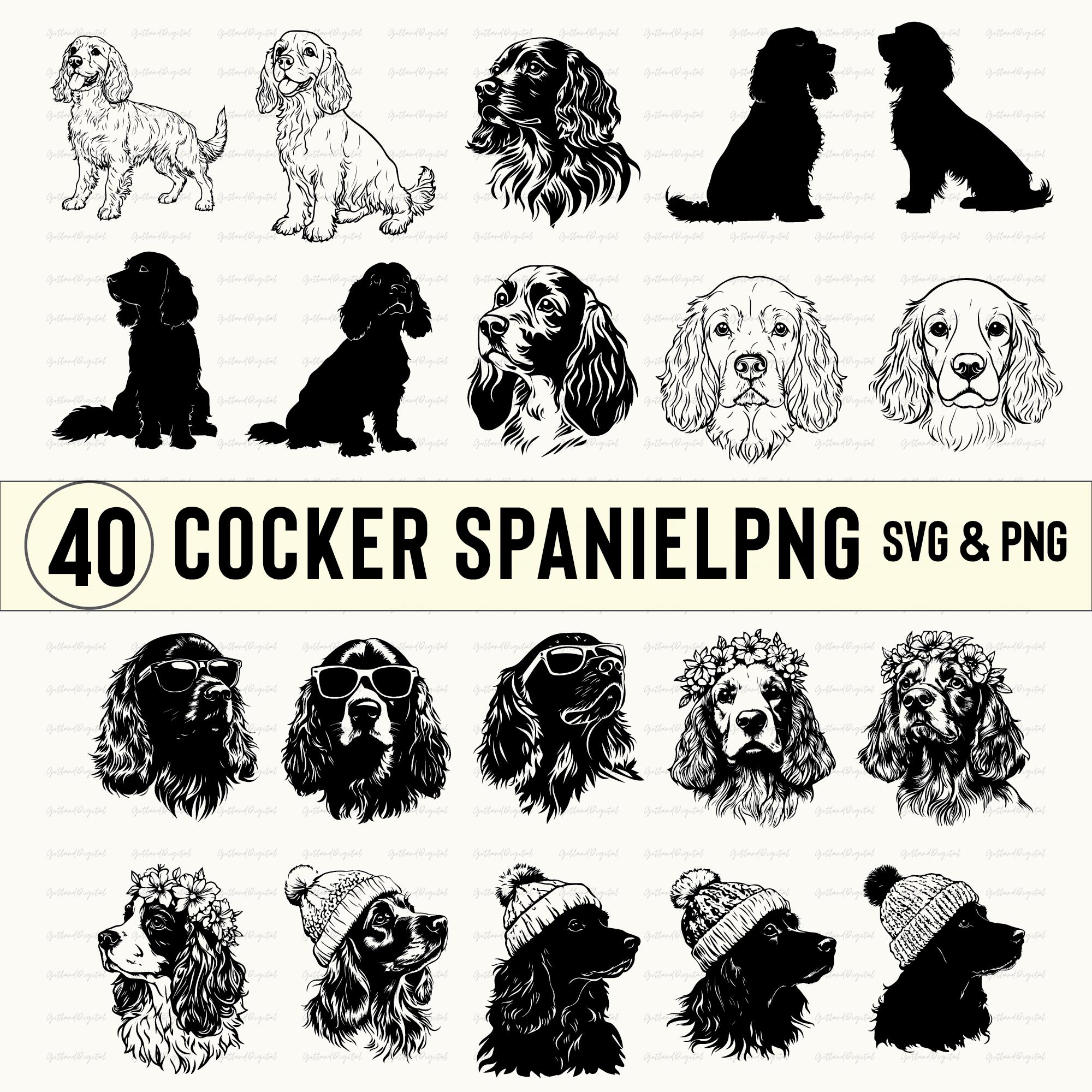 Cocker Spaniel Svg Bundle, Cocker Spaniel Silhouette, Cocker Spaniel ...