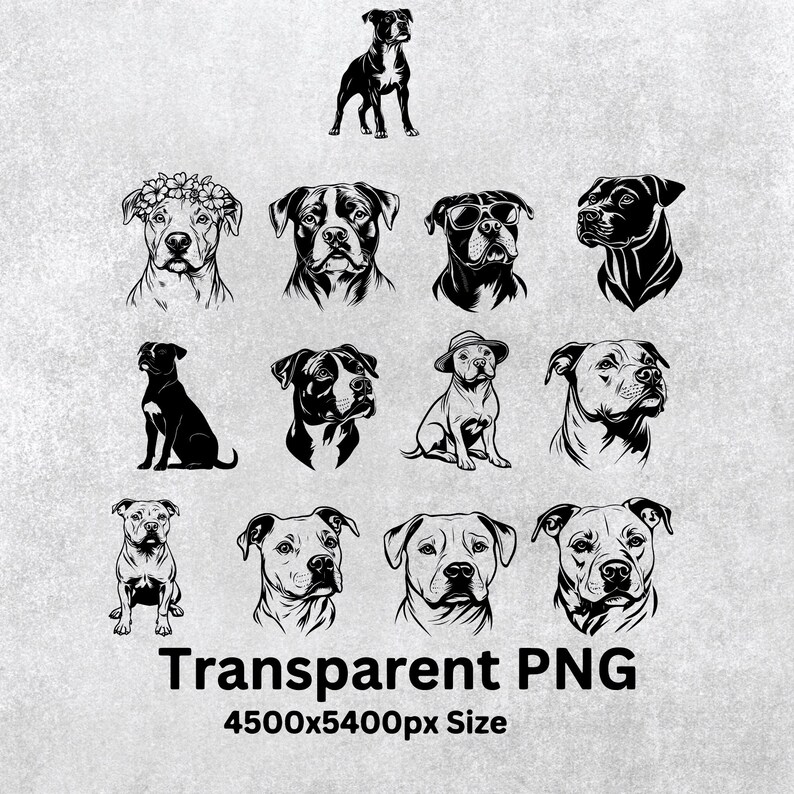Staffy Dog Svg Bundle, Staffy Dog Silhouette, Staffy Dog Clipart ...