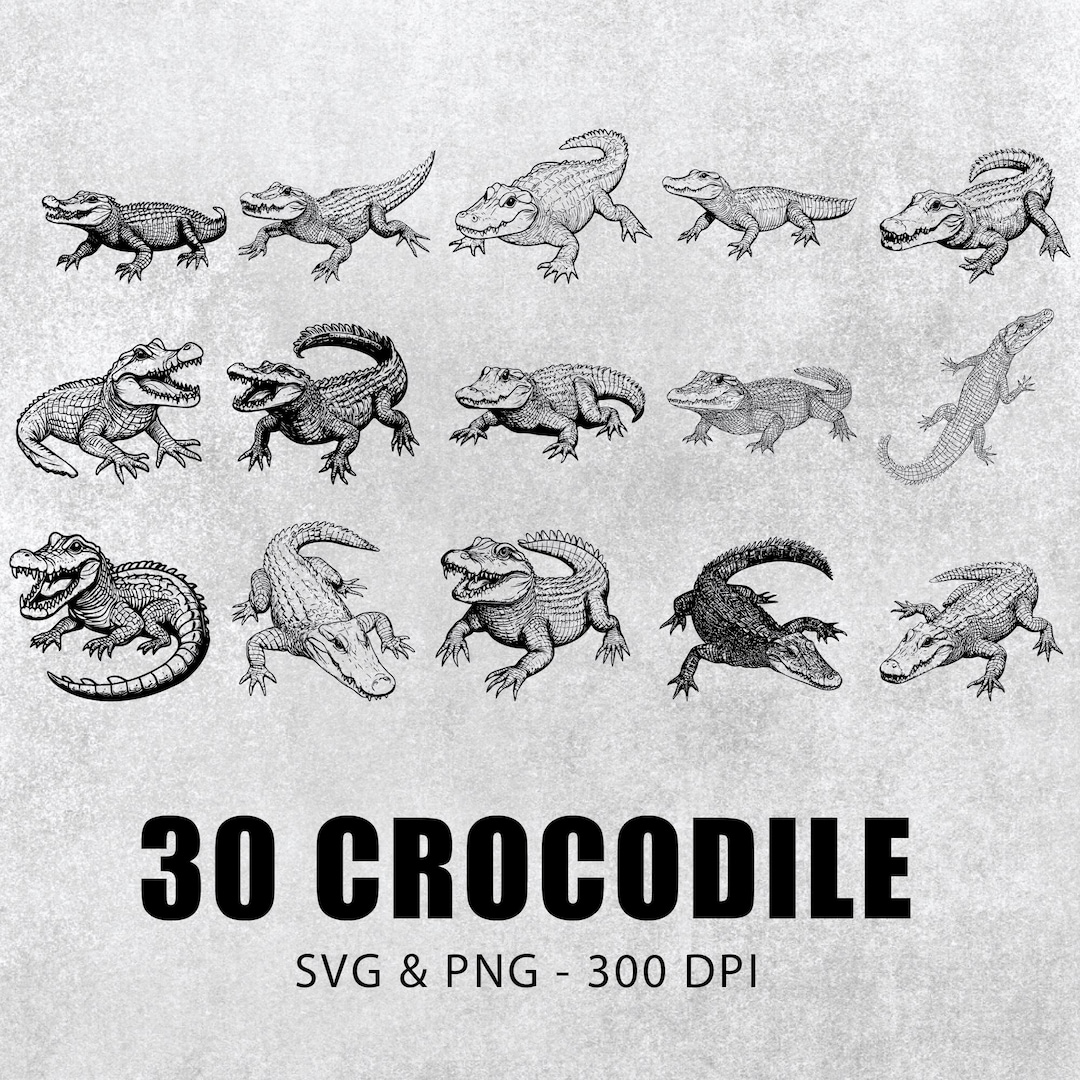 Crocodile Silhouette Bundle Svg, Crocodile Svg Vector Set, Crocodile ...