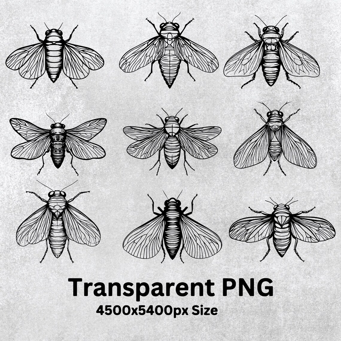Cicadas Silhouette Bundle Svg, Cicadas Svg Vector Set, Cicadas Clipart ...