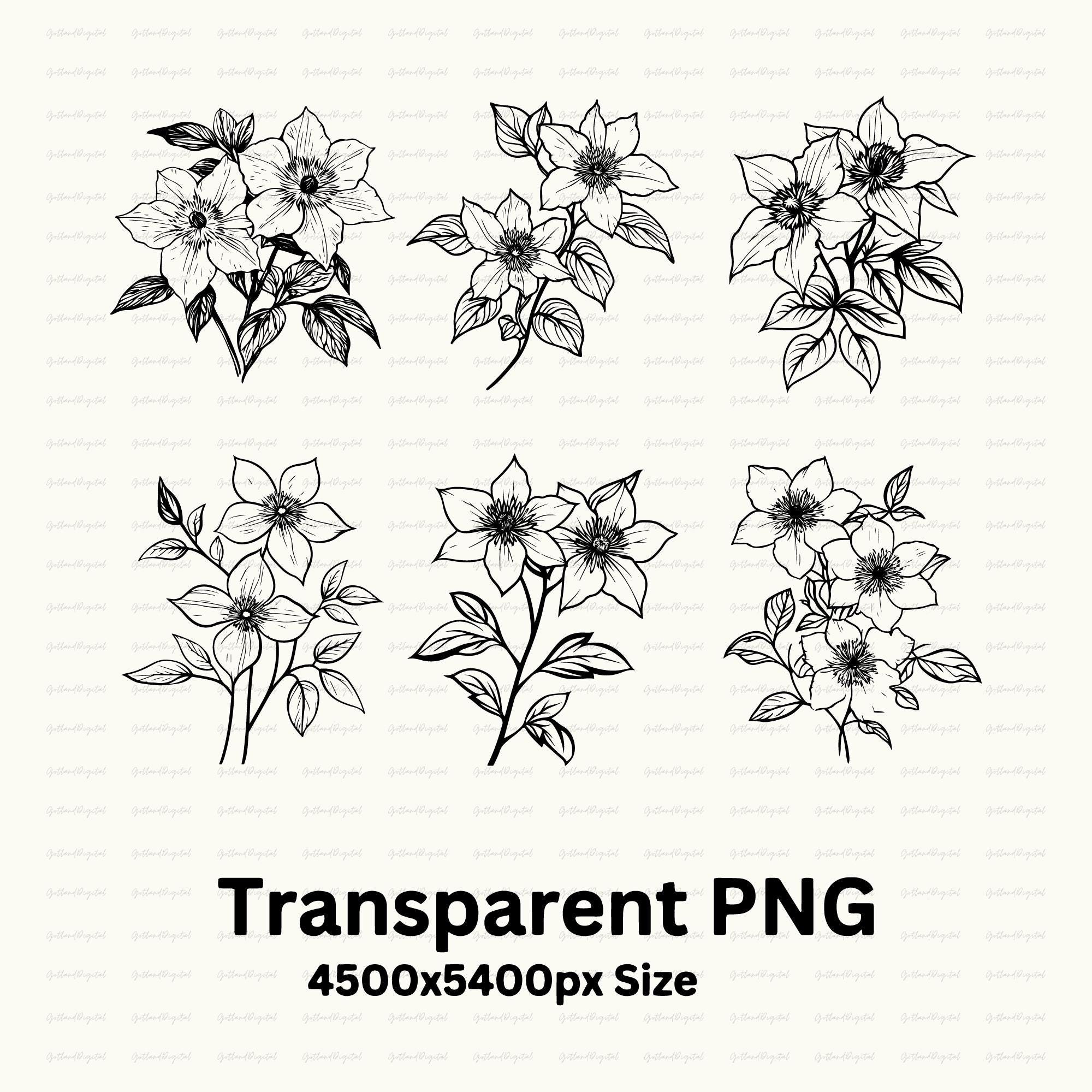 Clematis Svg Png, Clematis Silhouette, Clematis Clipart, Clematis ...