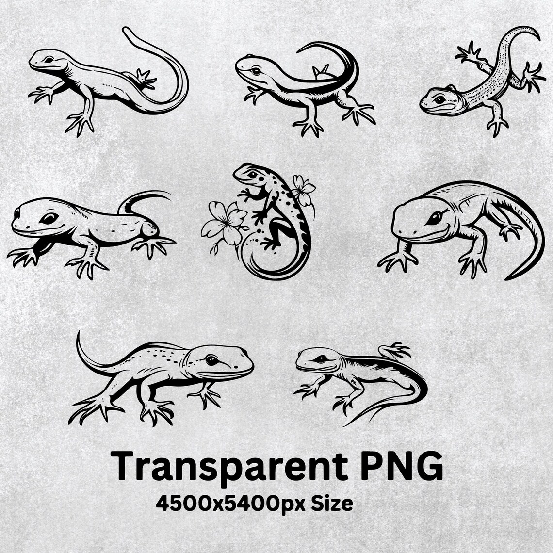 Salamander Clipart: Silhouette Vector Decal (SVG, PNG) - Etsy