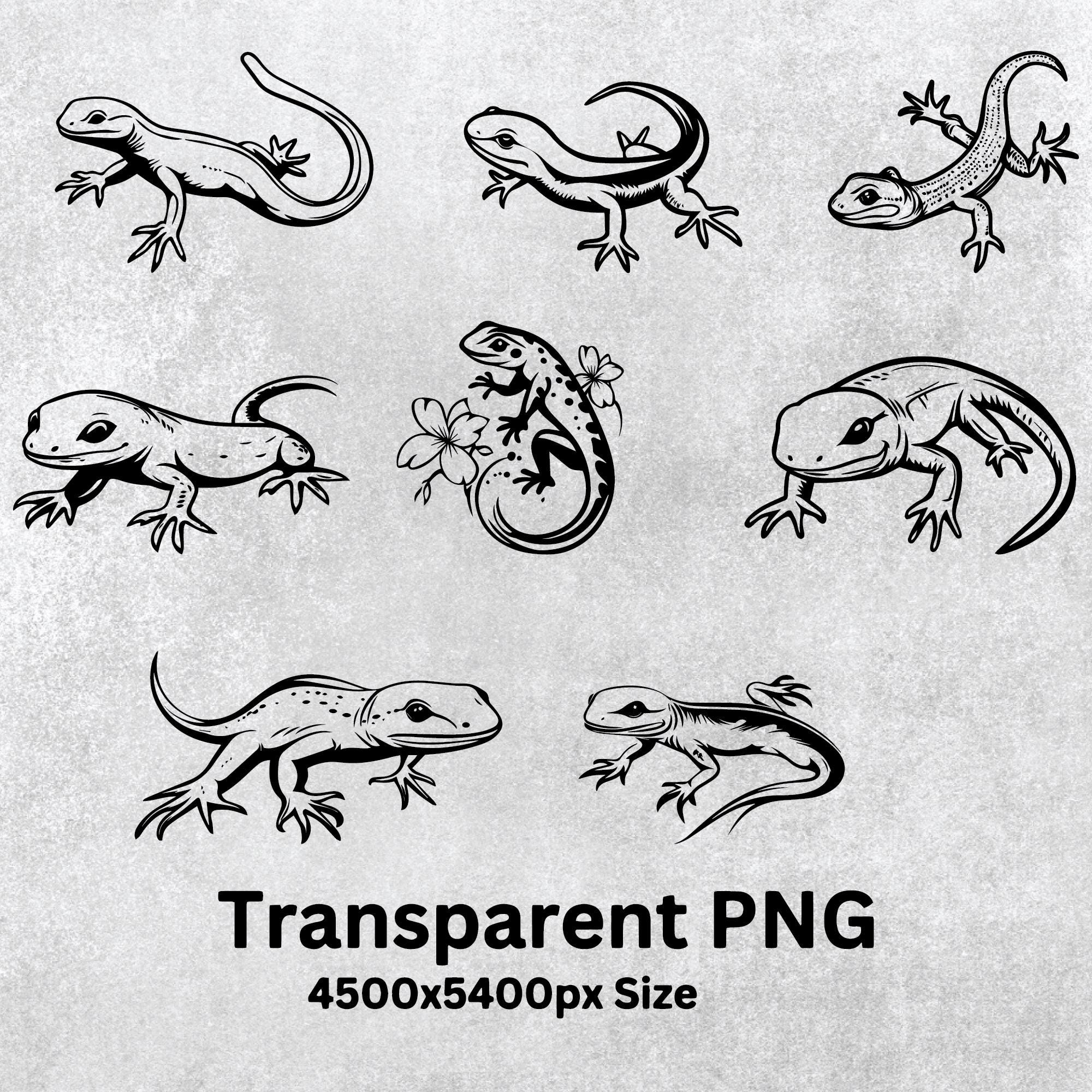 Salamander Svg Png, Salamander Clipart, Salamander Silhouette ...