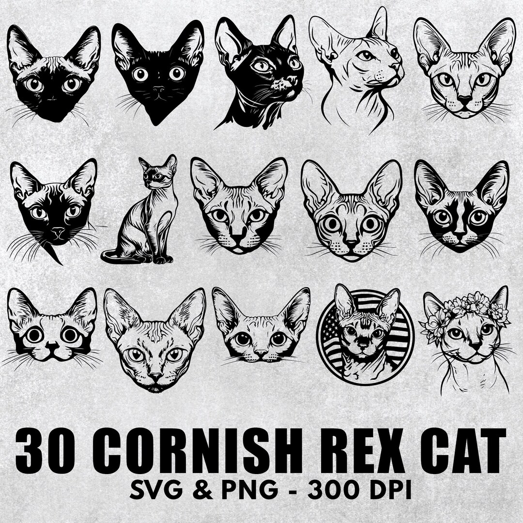 Cornish Rex Cat Svg Bundle, Cornish Rex Cat Silhouette, Cornish Rex Cat ...