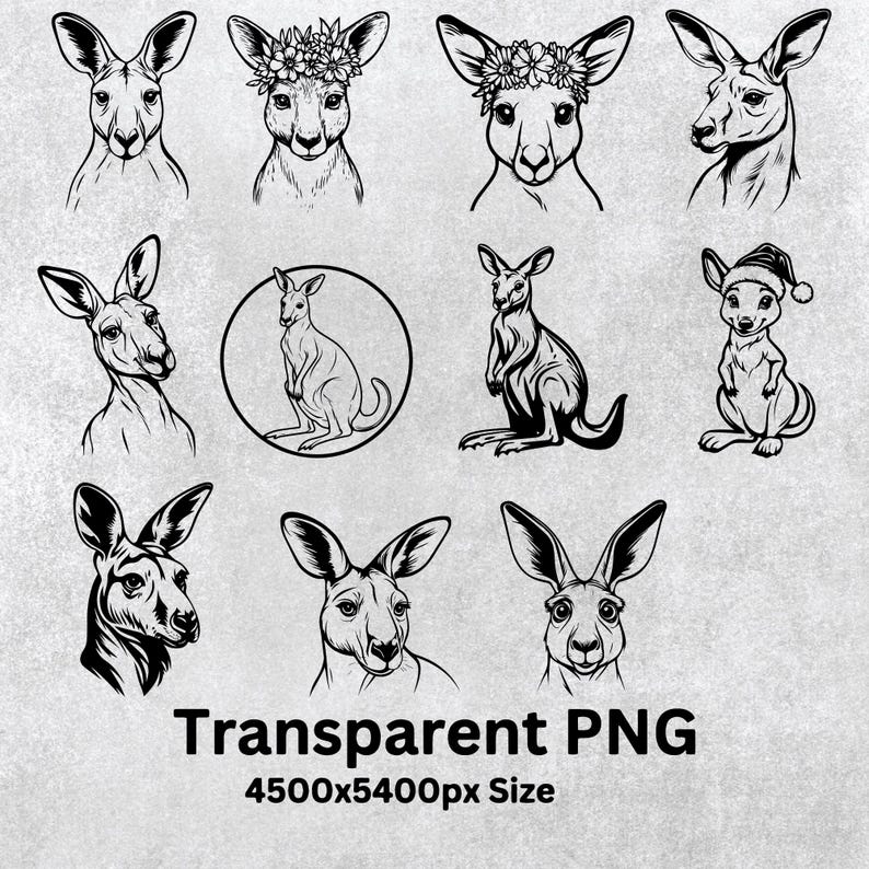 Kangaroo Svg Bundle, Kangaroo Vector Set, Kangaroo Clipart, Kangaroo ...