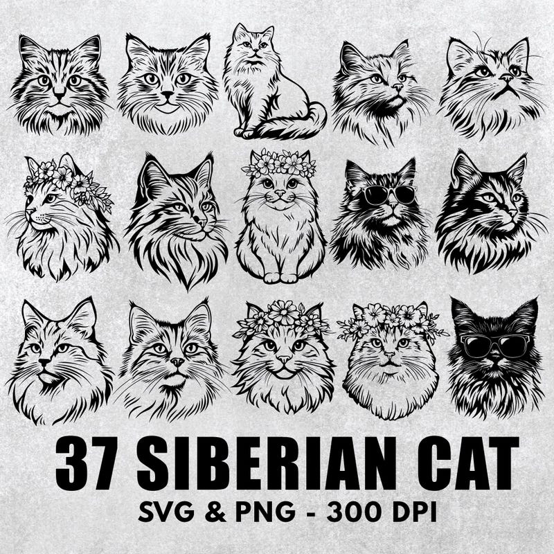 Cat Line Art Vinyl - Etsy