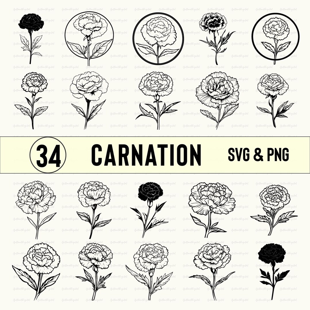 Carnation Svg Png Bundle, Carnation Clipart, Carnation Silhouette ...