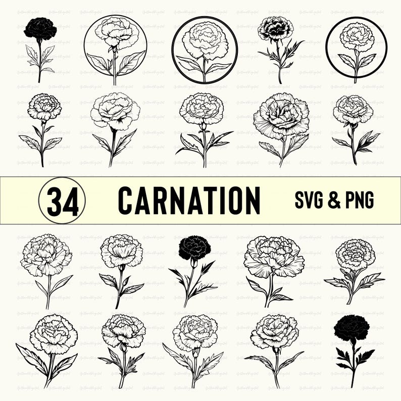 Carnation Clipart Bundle: Floral SVG, PNG, Vector Designs (digital ...