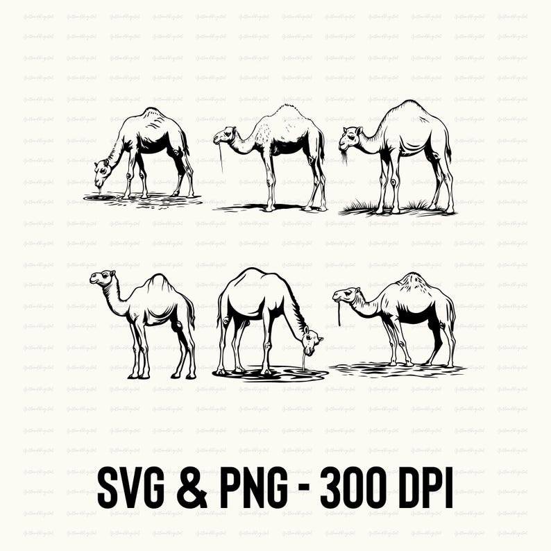 Camel Svg PNG Bundle, Camel Silhouette, Camel Clipart, Camel Vector Art ...