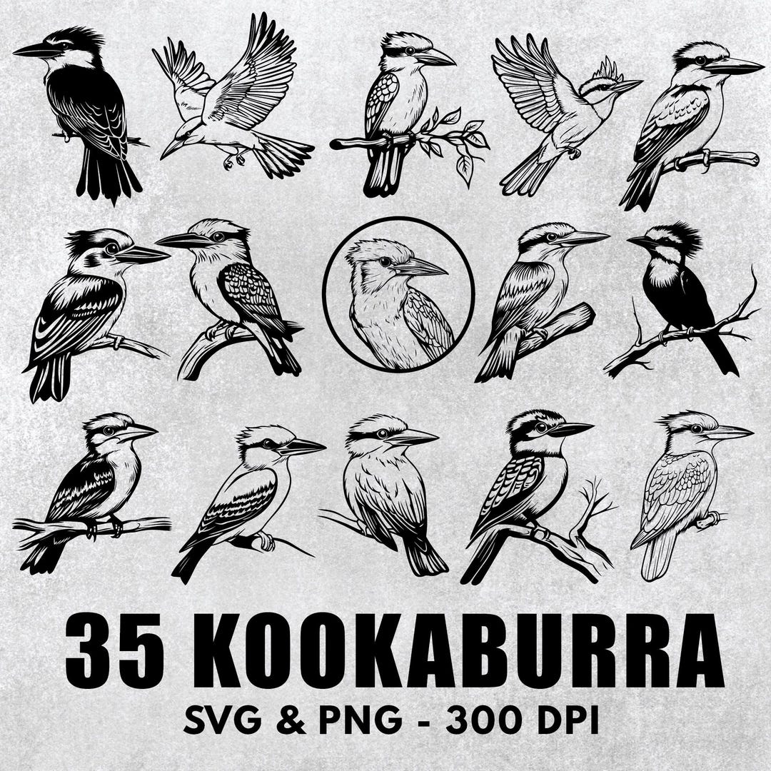 Kookaburra Svg Bundle, Kookaburra Silhouette Set, Kookaburra Clipart ...