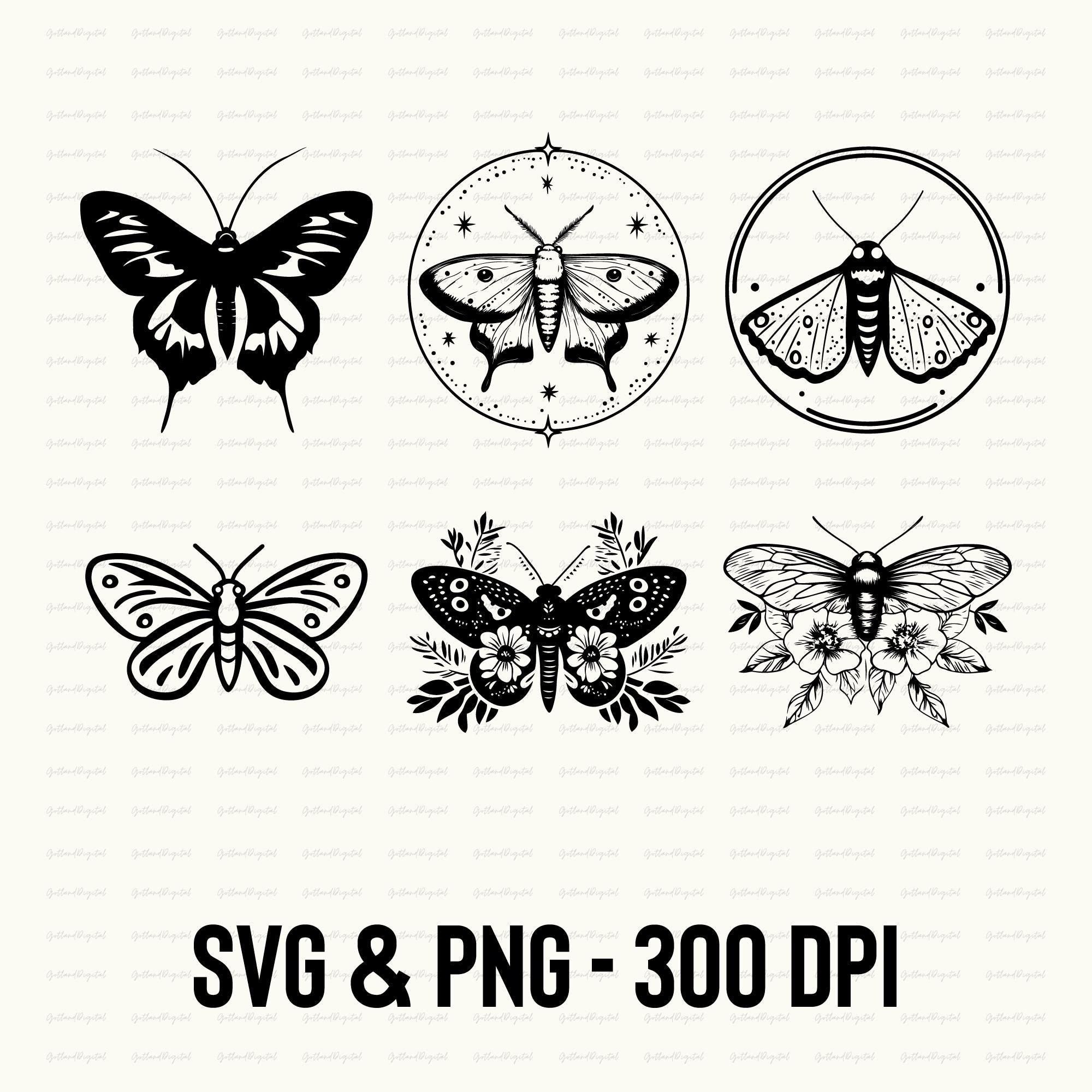 Moth SVG PNG Clipart: Silhouette Vector Cut Files - Etsy